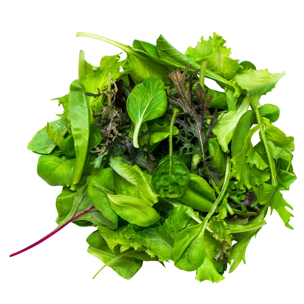 Mix Salad (Approx 150g) – Live Organic